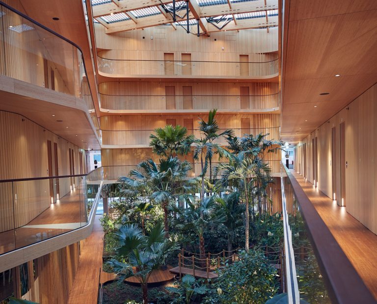 Sustainable Hotel Practices & Certifications for Eco-Travelers